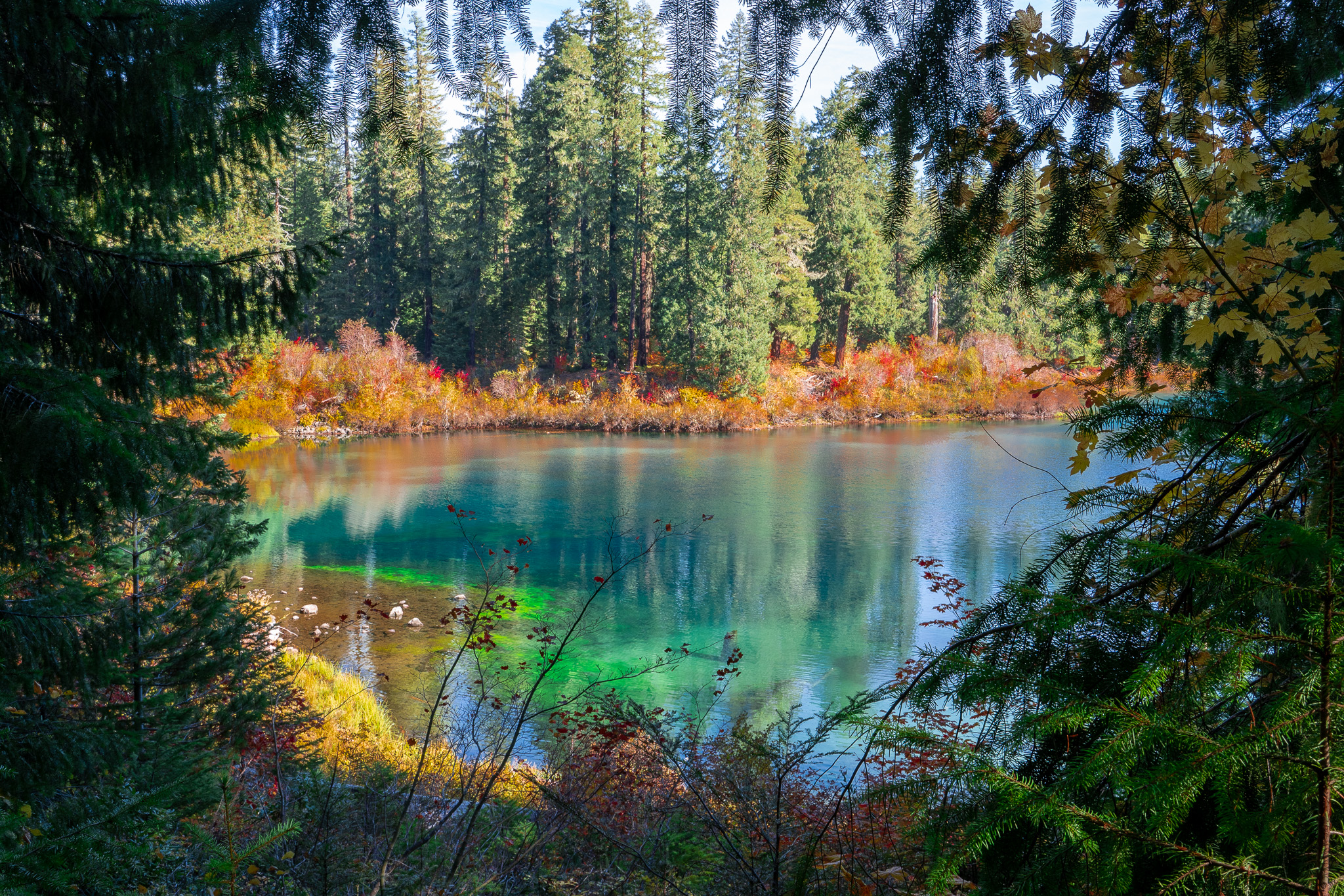 Five of the Best Fall Hikes in Oregon